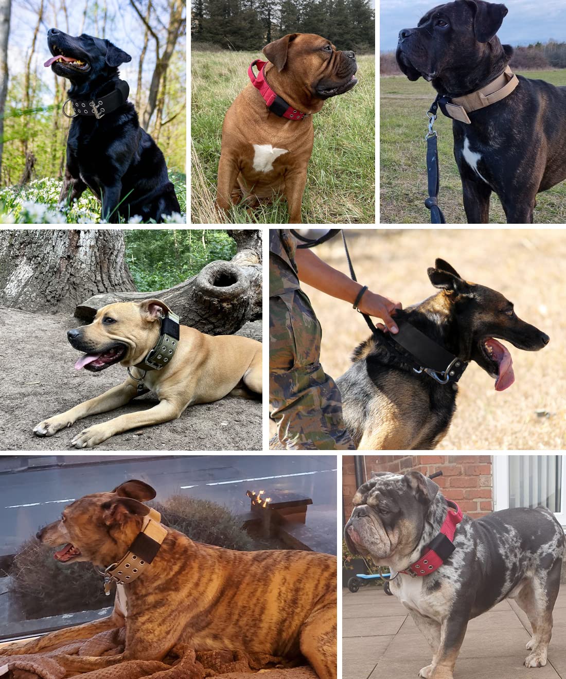 Large Dog Collar Heavy Duty - 2 inch Wide with Handle for Extra Large Breed Dogs, 1/3" Thick Nylon Chew Proof Tactical Collar, Good Choice for German Shepherd,Pitbull,Rottweiler 17"-22"