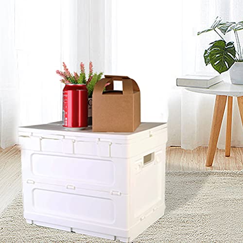 beyonday Portable Small Capacity Collapsible Storage Box with Lid for Indoor, Home Party, Picnic, Fishing, Multi-function Drinks Snacks Toys T-shirt Sorting Storage Container, 9.6''H, Green