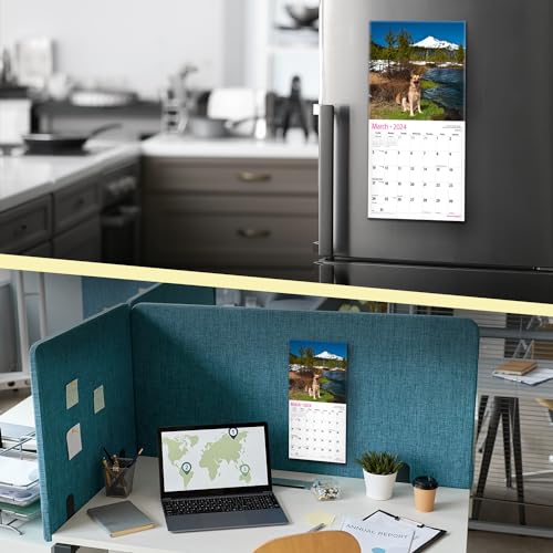 RED EMBER German Shepherds Mini 2024 Wall Calendar 12 Month | 7" x 14" Open | Thick & Sturdy Paper | Giftable | Calendar 2024