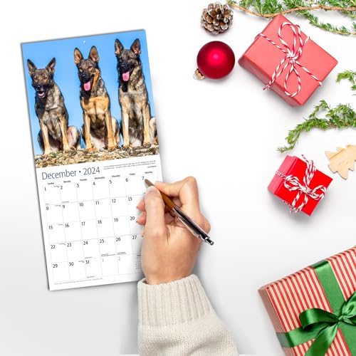 RED EMBER German Shepherds Mini 2024 Wall Calendar 12 Month | 7" x 14" Open | Thick & Sturdy Paper | Giftable | Calendar 2024