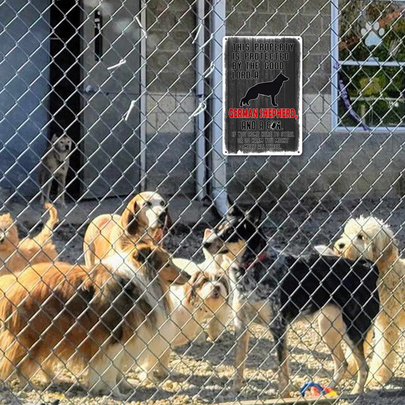 Funny Beware Of Dog Sign - 8x12 Inch Tin Sign For Fence Warning