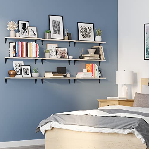 Wallniture Arras 24" Floating Shelves for Wall Storage, Wall Bookshelf Living Room Decor, Wall Shelves for Bedroom & Office, Kitchen Wall Shelf Set of 9, Natural, Wood