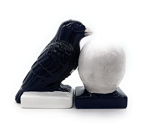 Rustix Quoth The Raven Ceramic Gothic Halloween Decor Cute skull Horror Salt and Pepper Shaker Set Scary Spooky and witchy Gift Fall Season Decor for Kitchen