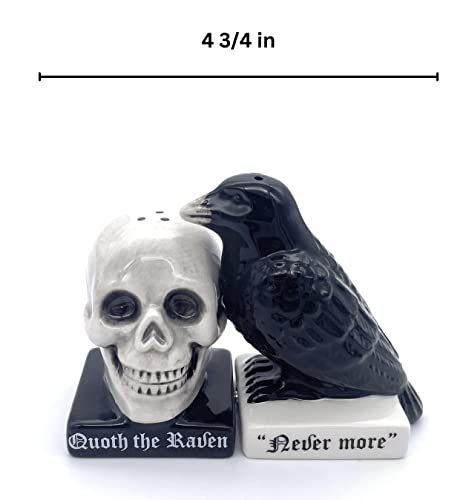 Rustix Quoth The Raven Ceramic Gothic Halloween Decor Cute skull Horror Salt and Pepper Shaker Set Scary Spooky and witchy Gift Fall Season Decor for Kitchen