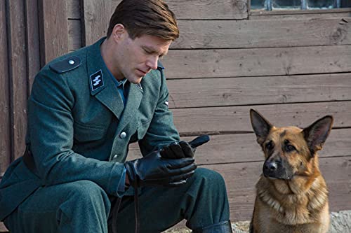 Shepherd - Die Geschichte eines Helden