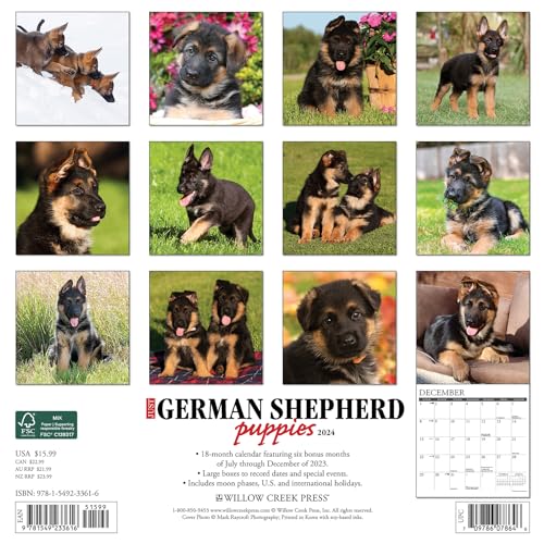 Willow Creek Press German Shepherd Puppies Monthly 2024 Wall Calendar (12" x 12")