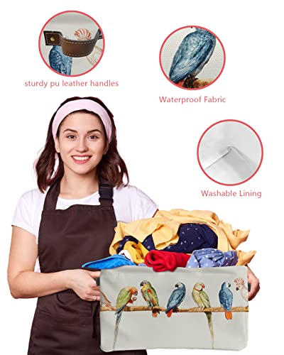 Storage Bins, Parrot Bird on Branch Storage Baskets for Organizing Closet Shelves Clothes Decorative Fabric Baskets Large Storage Cubes with Handles