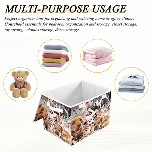 Kigai 3d Print Dogs & Cats Storage Baskets for Shelves Foldable Closet Basket Storage Bins with Lid for Clothes Home Office Toys Organizers