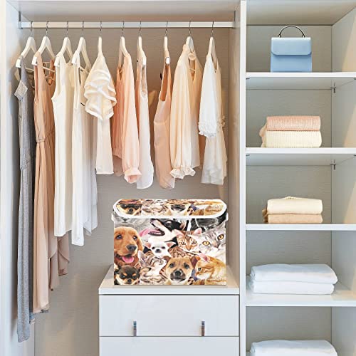 Kigai 3d Print Dogs & Cats Storage Baskets for Shelves Foldable Closet Basket Storage Bins with Lid for Clothes Home Office Toys Organizers