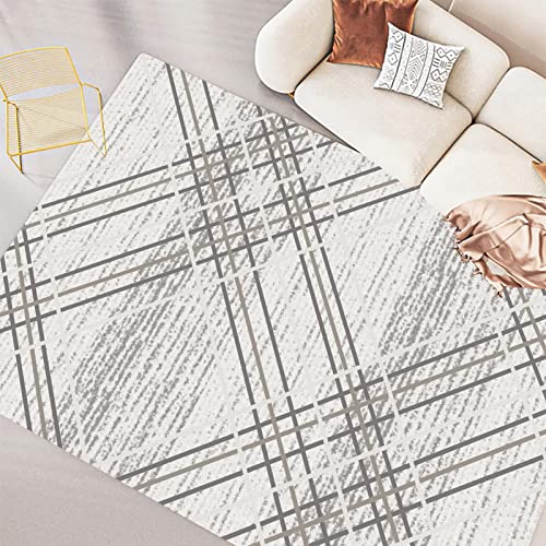 FINOREN Artistic Abstract Area Rug.Lines-Grey,4'x6', Suitable for Bedroom, Living Room, Apartment, Machine Washable Non-Slip Soft Modern Interior Rug,Smudge-Proof, Non-Shedding.