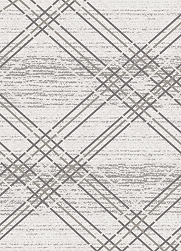 FINOREN Artistic Abstract Area Rug.Lines-Grey,4'x6', Suitable for Bedroom, Living Room, Apartment, Machine Washable Non-Slip Soft Modern Interior Rug,Smudge-Proof, Non-Shedding.