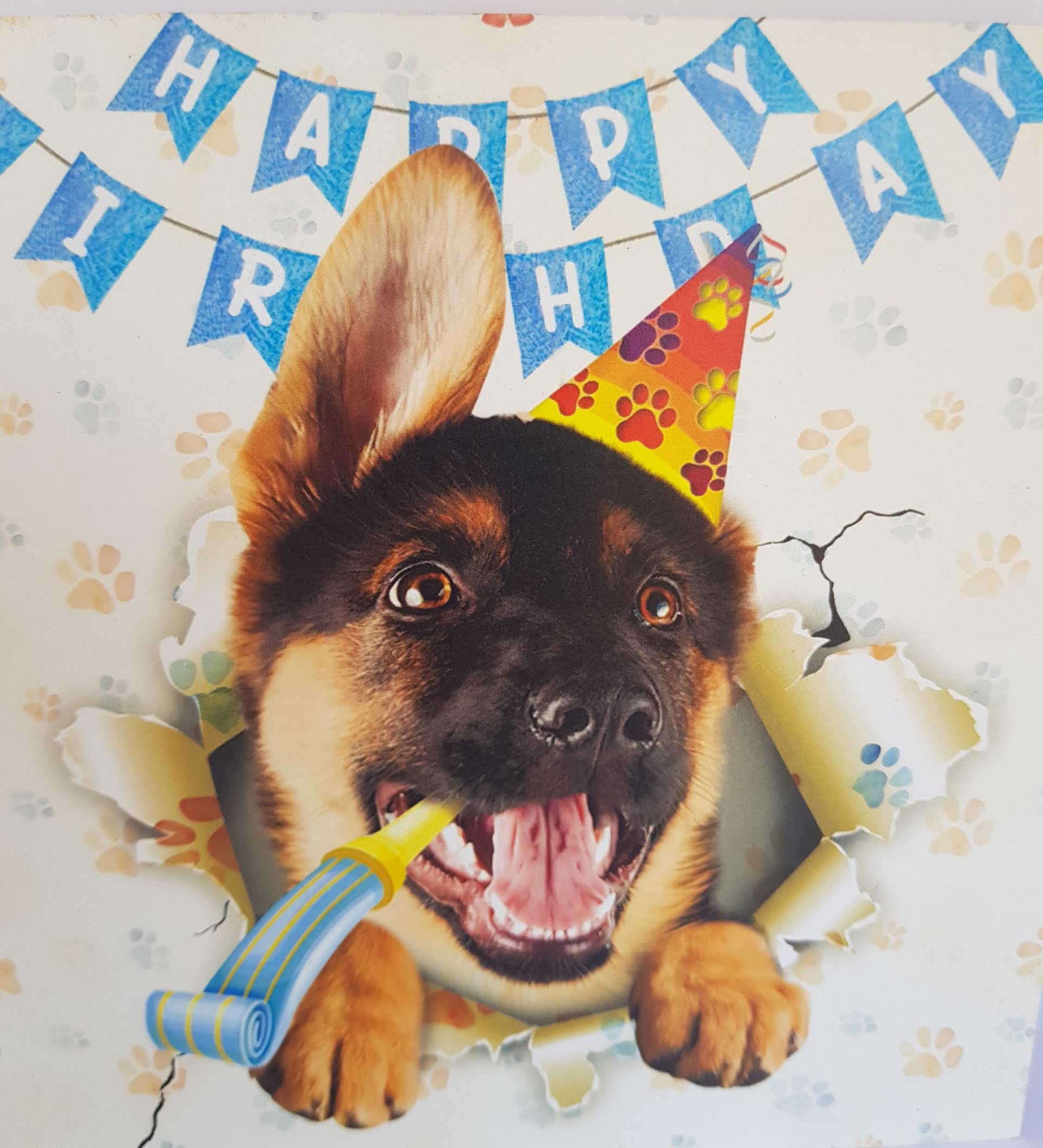 German Shepherd Dog 3D Birthday Funny Pop Up Cards, German Shepherd Dog 3D Birthday Pop Up Cards, Happy Birthday Lovely Cards for German Shepherd Lovers