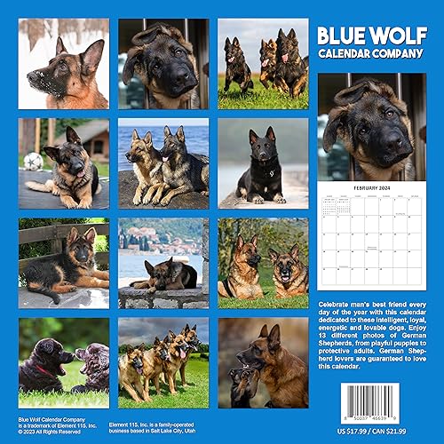 DOGS Monthly Wall Calendar | 12" x 24" | Thick Sturdy Paper | Dog Calendar 2024-2025 (Shepherds)