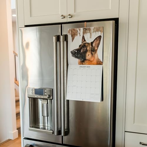 DOGS Monthly Wall Calendar | 12" x 24" | Thick Sturdy Paper | Dog Calendar 2024-2025 (Shepherds)