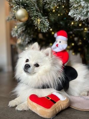 Midlee Santa Claus Jockey Dog Costume (Large)