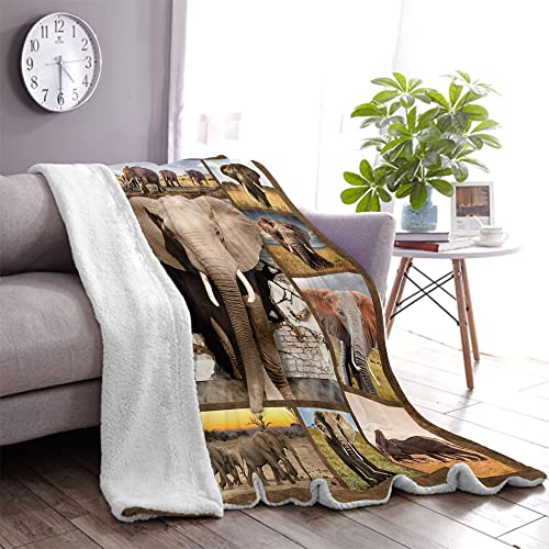 Juirnost Elephant Blanket Wild Elephant Gifts for Women Men Elephant Throw Blankets for Couch Bed Sofa Travelling Camping Elephant Decor Animal Lover Blanket Soft Plush Reversible Blanket 50" x60"
