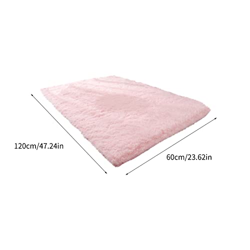 60x120CM Non Slip Bedroom Carpet, Floor Mat, Indoor Living Room Plush Carpet, Home Decoration