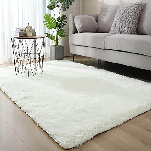 60x120CM Non Slip Bedroom Carpet, Floor Mat, Indoor Living Room Plush Carpet, Home Decoration