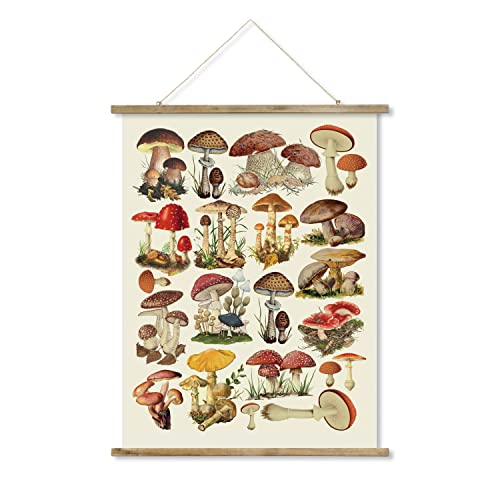 Vintage Mushroom Poster Hanger Frame, Patterns are Printed on Linen Without Fading, Scrolls Made of Fir are Durable, Retro Style Wall Decor Art Painting for Living Room Office Classroom Bedroom Decor,Adults and Children Learn Charts(22.4" X 15.7")