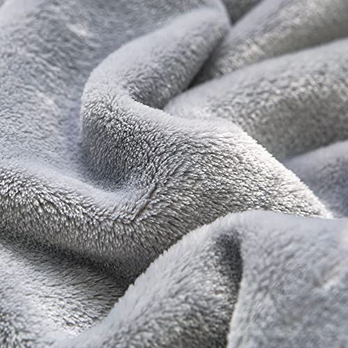 PAUHN Fleece Blanket Throw XL Size Light Grey 48"x80" Throw Blanket for Couch Nice White Edging Soft Blanket Warm,Plush,Fluffy,Cozy,Thick,Throw for Sofa,Bed,Office Travel