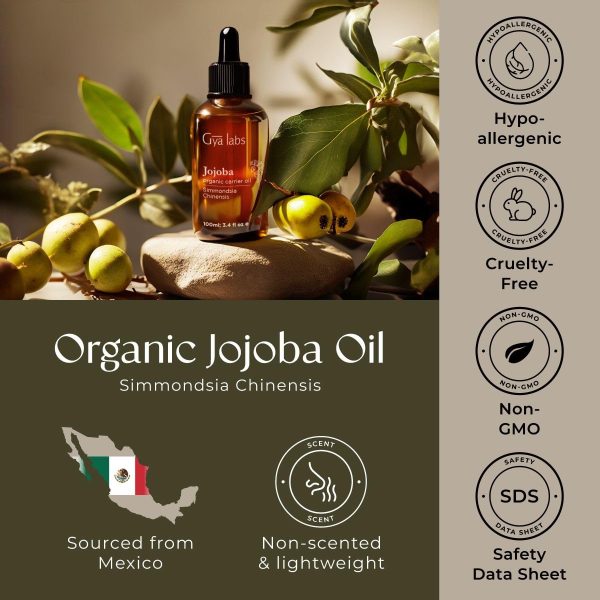 Vanilla Essential Oil for Skin (0.34 fl oz) & Jojoba Oil for Hair (3.4 fl oz) Set - 100% Natural Aromatherapy Grade Essential Oils Set - Gya Labs