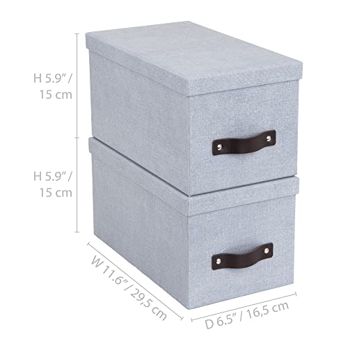 Bigso Silvia Organizational Storage Box | Photo Storage Box with Leather Handle for Shelves and Stacks Easily | Durable and Decorative Storage Boxes with Lids (Ash / 2 Pack)