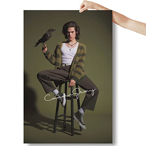 IDfine Conan Gray Poster Cool Art Posters Vintage Posters Canvas Wall Art Decorations Paintings for Room Bathroom Office Unframed (12x18Inch(30x45cm))