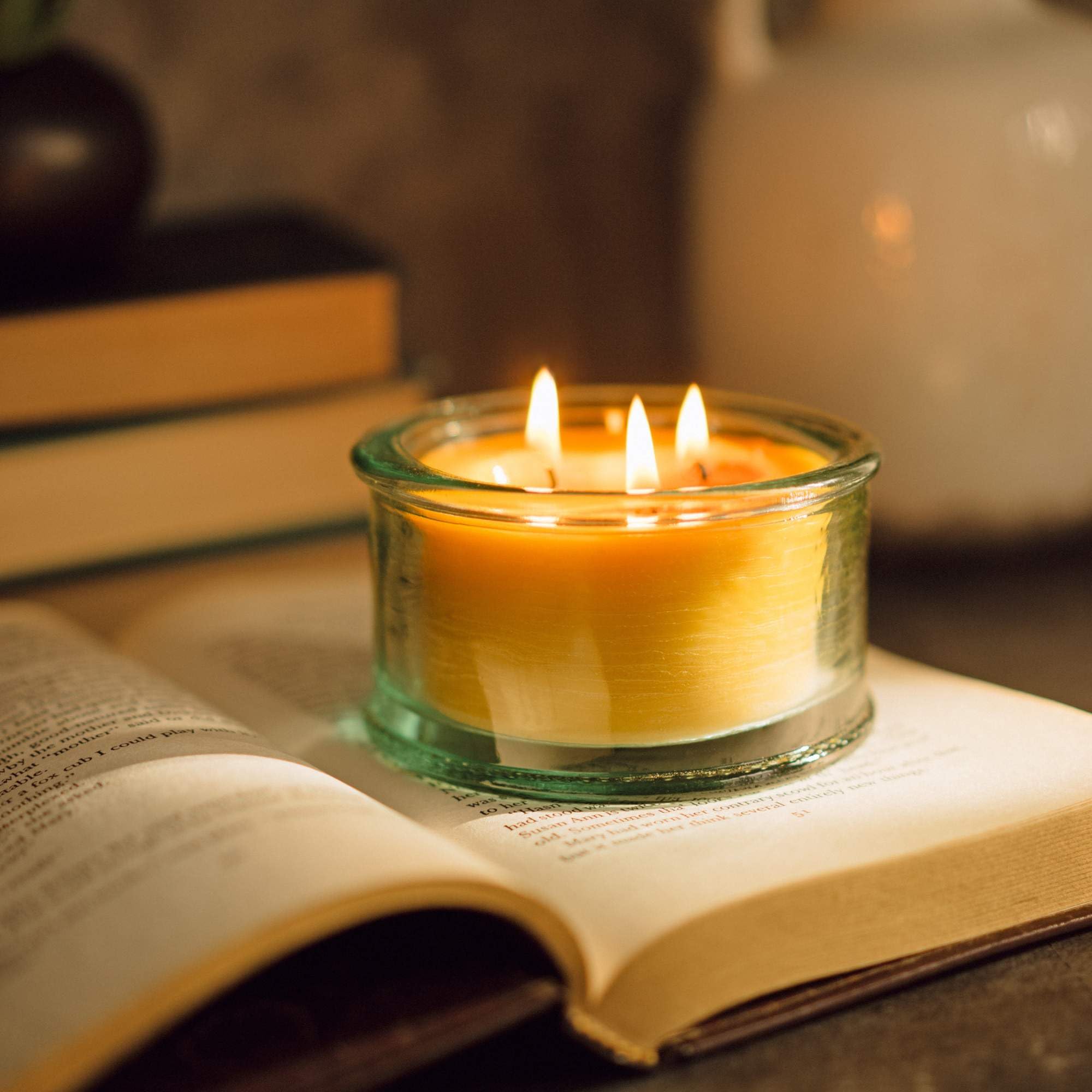 Bluecorn Botanica Beeswax Candle - 3-Wick Scented Candle Made with Pure Beeswax & Vanilla