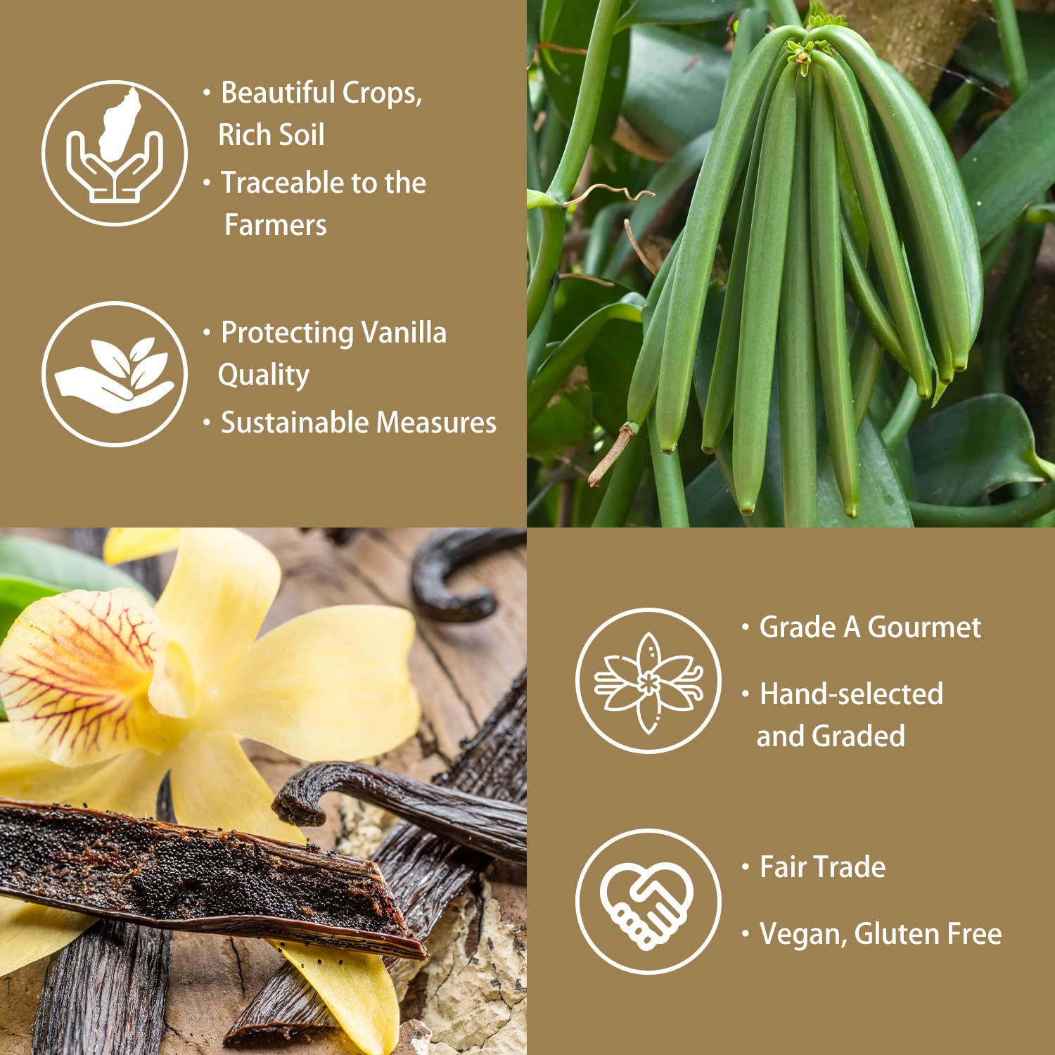 GRELIM Vanilla Bean Powder, 100% Pure Ground Madagascar Vanilla Powder Gluten-Free No Fillers or Additives Great for Baking, Coffee, Smoothies 2.11 Oz (60 g)