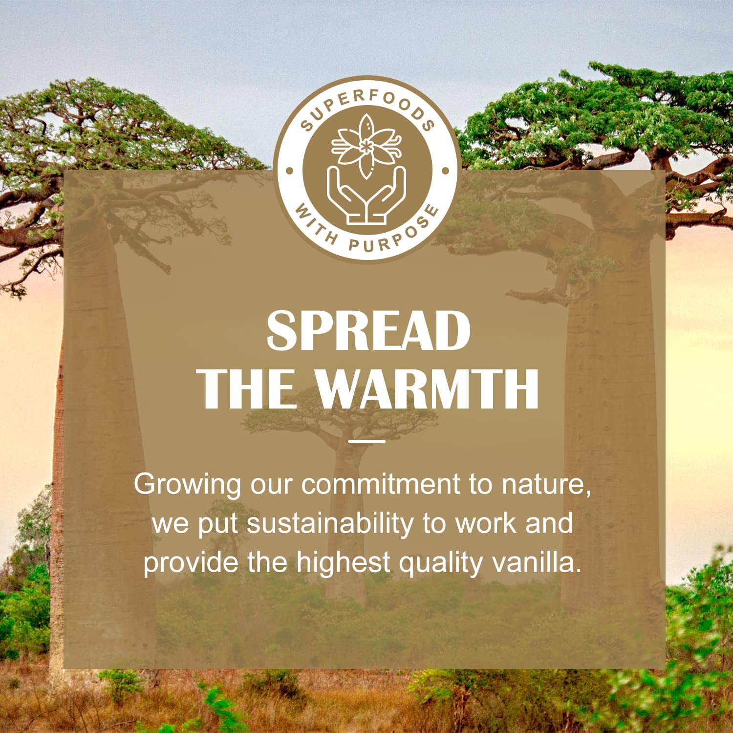 GRELIM Vanilla Bean Powder, 100% Pure Ground Madagascar Vanilla Powder Gluten-Free No Fillers or Additives Great for Baking, Coffee, Smoothies 2.11 Oz (60 g)
