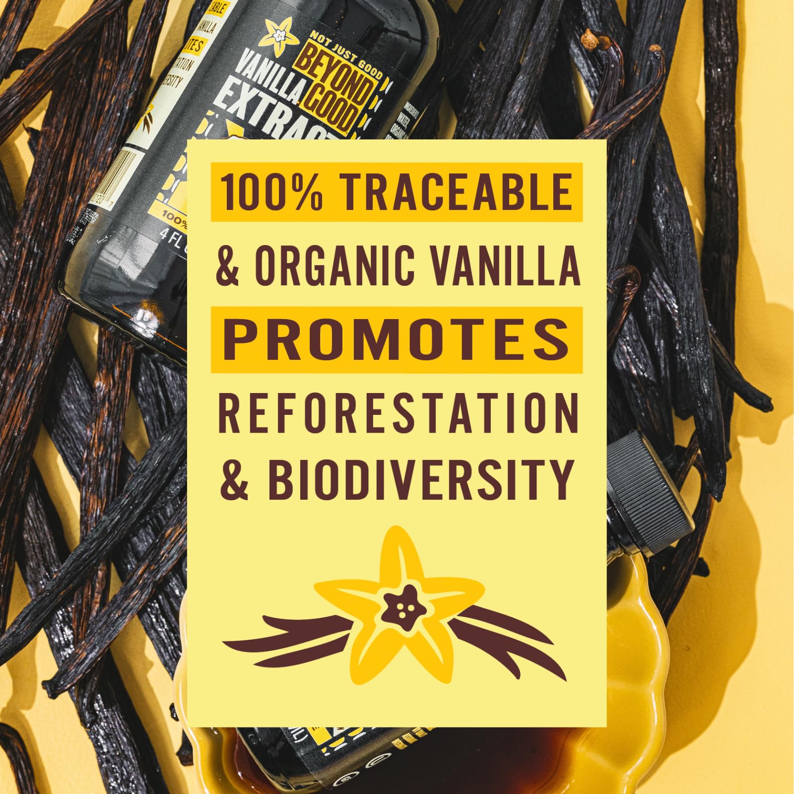 Beyond Good Pure Vanilla Extract | Madagascar Vanilla Extract | Made from All Natural Bourbon Vanilla Beans | For Baking, Desserts, Home Cooking and Chefs (2 fl oz)