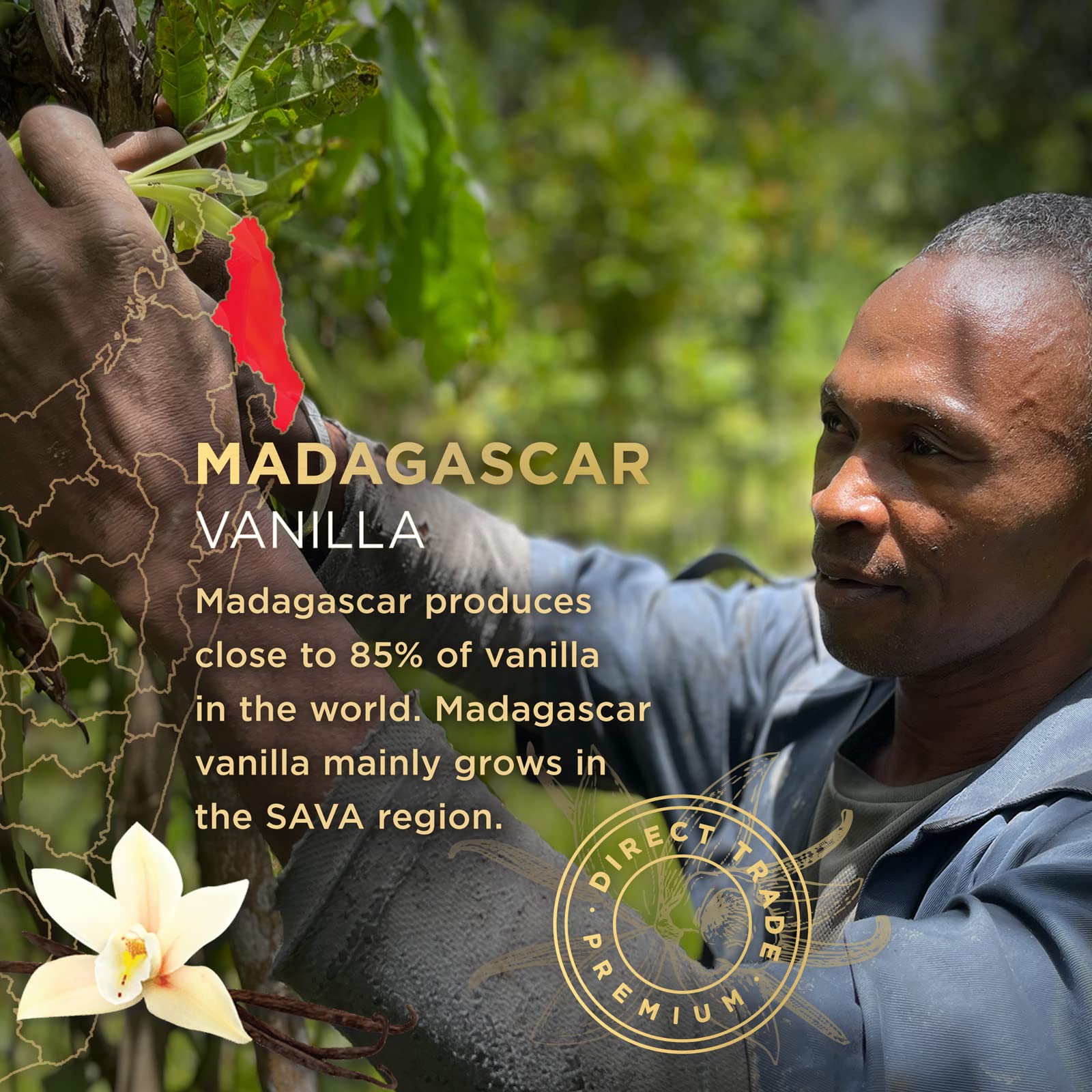 SAVA Madagascar Vanilla Extract – 100% Pure Vanilla Extract from High-Quality Madagascar Vanilla Beans – No Sugar Added Gourmet Vanilla Extract – Baking Supplies (4 Oz)