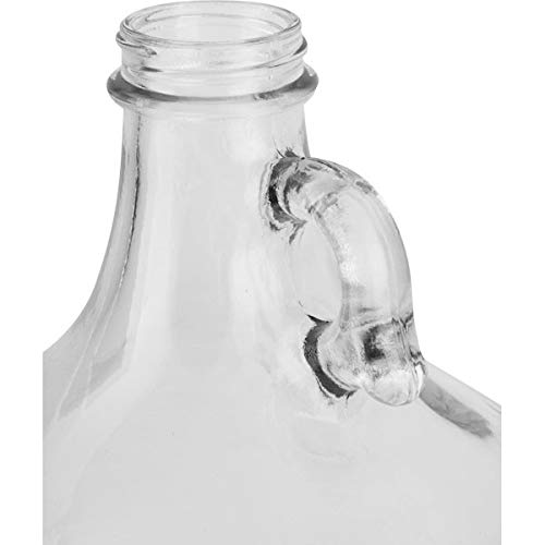 Glass Money Jar - 1 US Gallon - Holds Over $2,000 in $1 Coins!