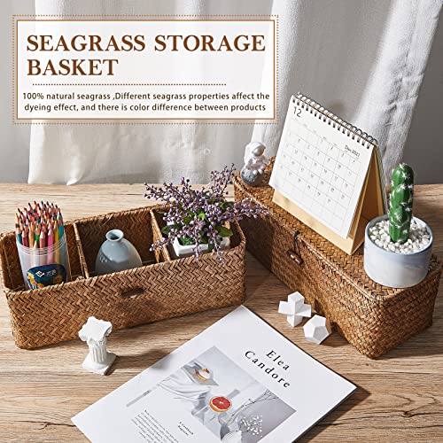 2 Pieces Seagrass Baskets with Lid, Rectangular Hand Woven Wicker Bin Storage Box for Shelves Organizing, Small Rustic Home Storage Organizer Container for Toilet Paper Snack Toys (Khaki)