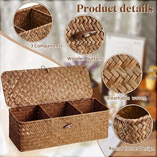 2 Pieces Seagrass Baskets with Lid, Rectangular Hand Woven Wicker Bin Storage Box for Shelves Organizing, Small Rustic Home Storage Organizer Container for Toilet Paper Snack Toys (Khaki)