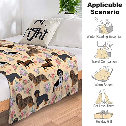 Dachshund Sausage Dogs Soft Throw Blanket 60"X50" Lightweight Flannel Blanket for Couch Bed Sofa Home Living Room Decor Travelling Camping for Kids Adults