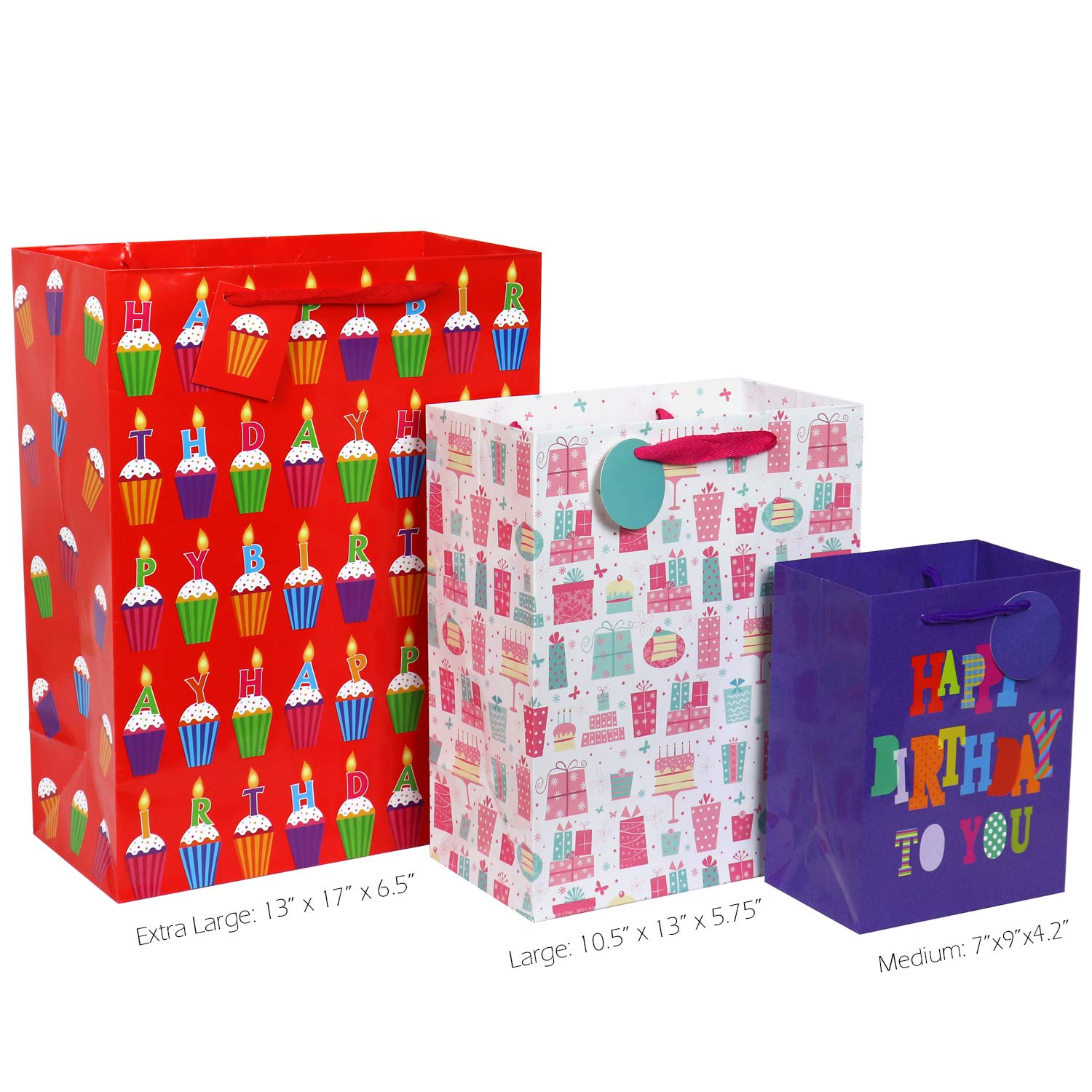 12 Pcs Kids gift bags, Large, Medium and Small Gift Bags Assortment for Birthday, Party Favors, celebrate (Assorted Sizes)