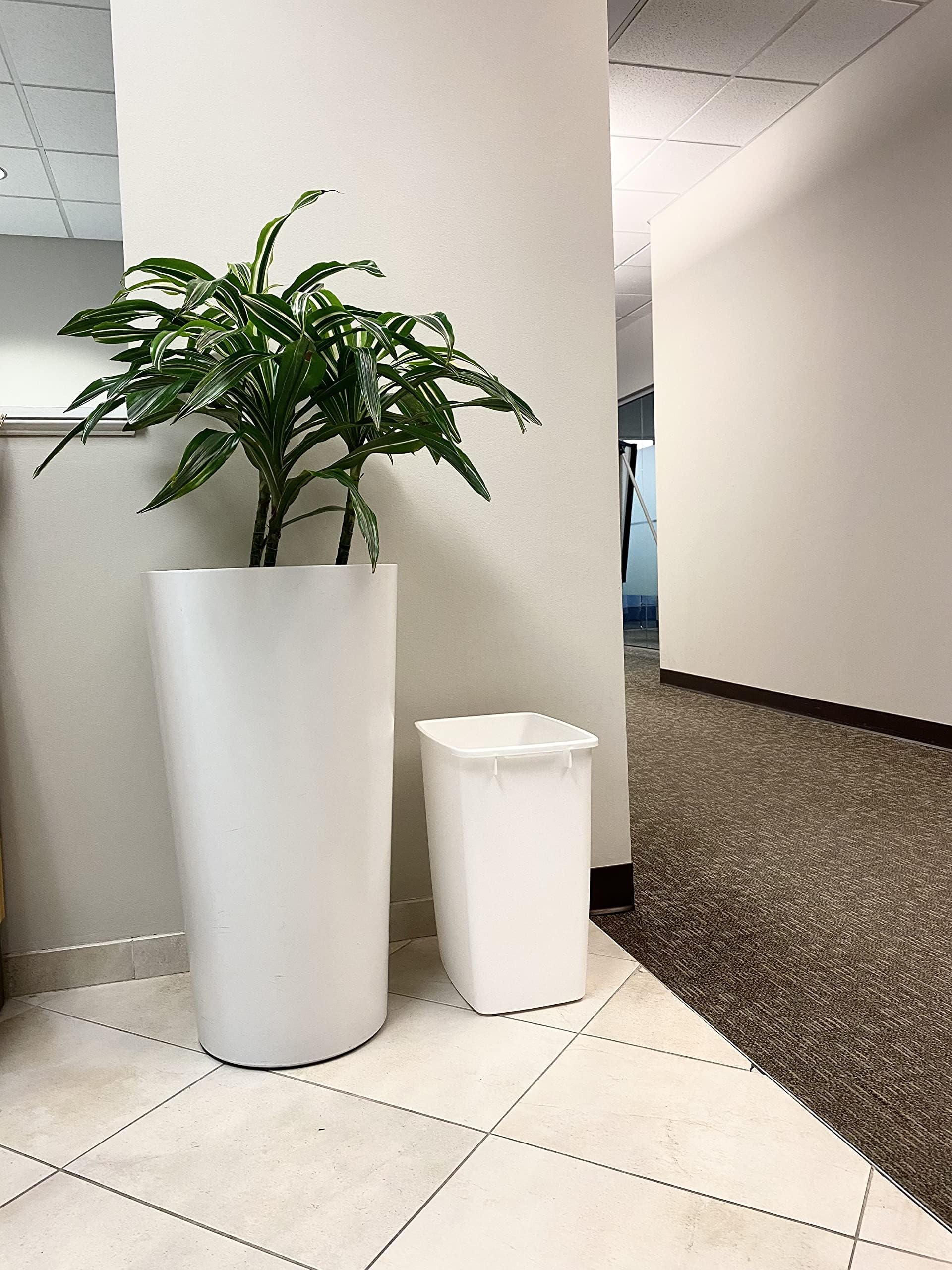 Rubbermaid Small Kitchen Bathroom Trash Can, Under-Sink Waste Basket, Plastic, White, 9 Gallons