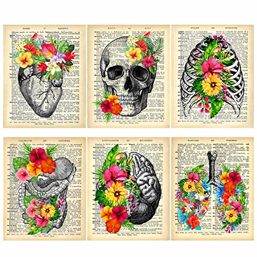 Medical Dictionary Art Set - Vintage Anatomical Posters Retro Floral Wall Decor for Doctors Office Clinic Med Student Dorm Gifts for Nurses Physician Assistant PA Women Men - Unframed 8 x 10 Prints