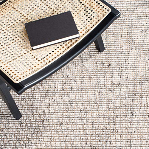Safavieh Natural Fiber Collection 2' x 3' Silver/Natural NF826G Handmade Woven Fringe Jute Accent Rug