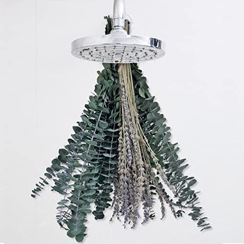 125 PCS Preserved Dried Eucalyptus Stems Bundles with Dried Lavender for Shower, 17'' Natural Shower Eucalyptus Leaves Hanging Lavender Shower Plants for Home Spa Fragrance Aromatherapy Bathroom Decor