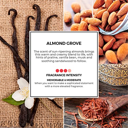 PartyLite Almond Grove 3-Wick Jar Candle, Highly Fragranced Clean Burning Glass Candle, 25-45 Hours Burn Time (Almond Grove)