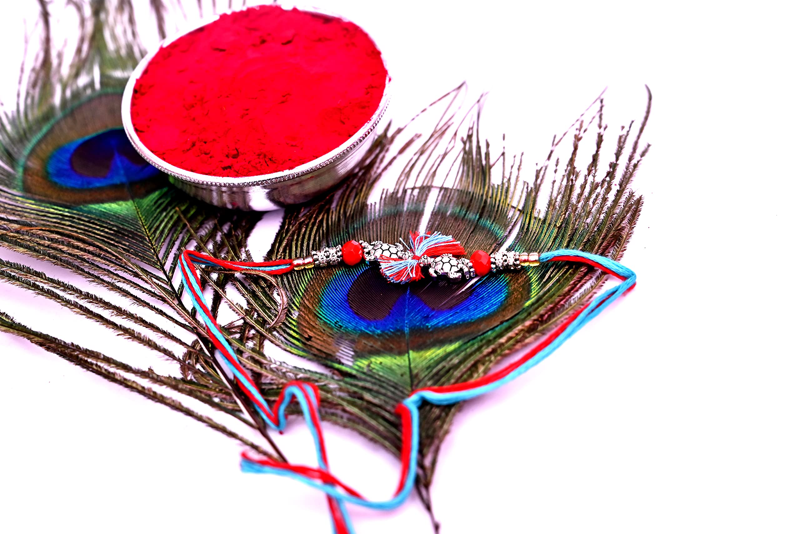Ruci Store Fancy Silver Turtle Rakhi for Brother Raksha Bandhan Casting Metal Rakhi Lucky Charm Bracelet