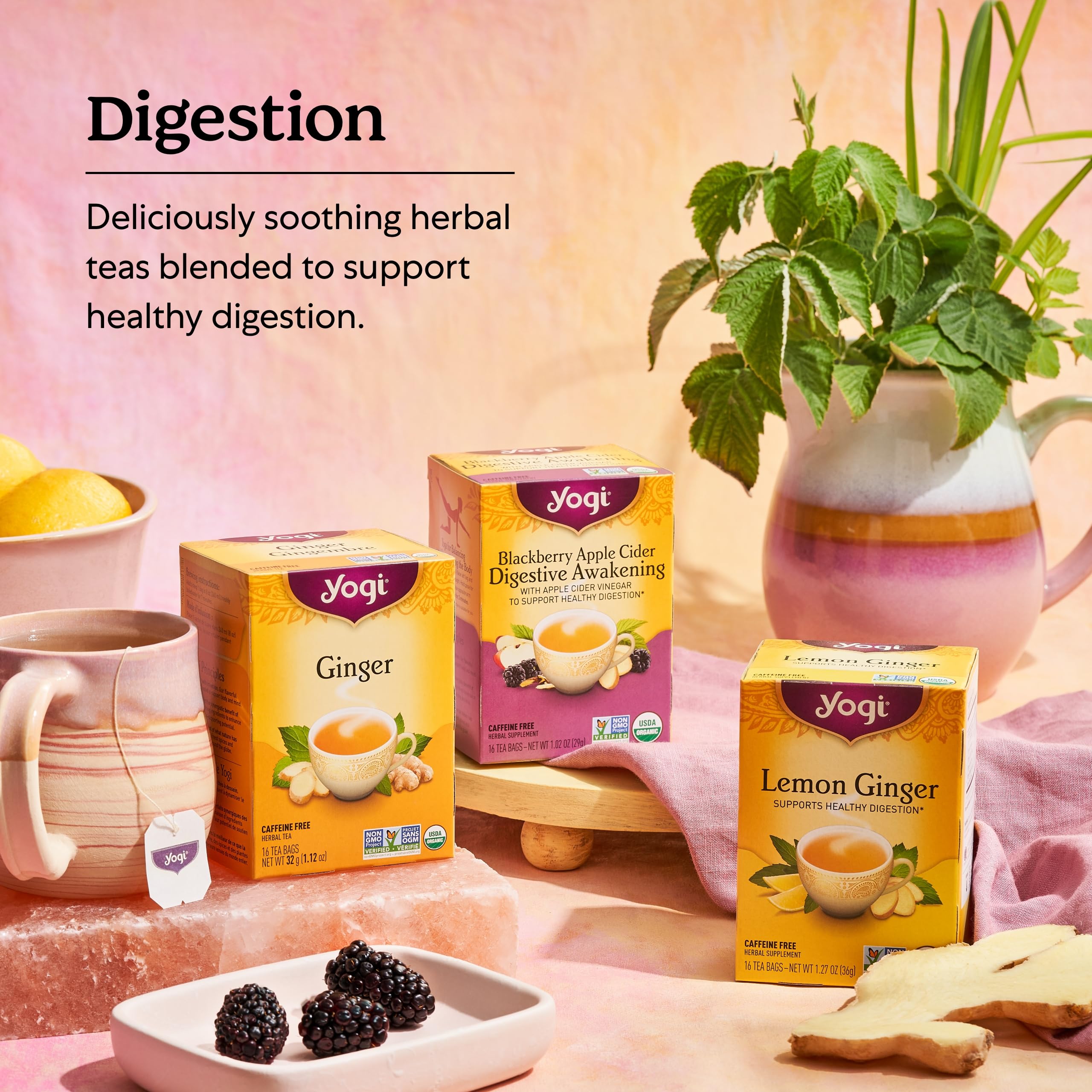Yogi Tea - Ginger Tea (6 Pack) - Supports Healthy Digestion - Soothing and Spicy Blend - Caffeine Free - 96 Organic Herbal Tea Bags
