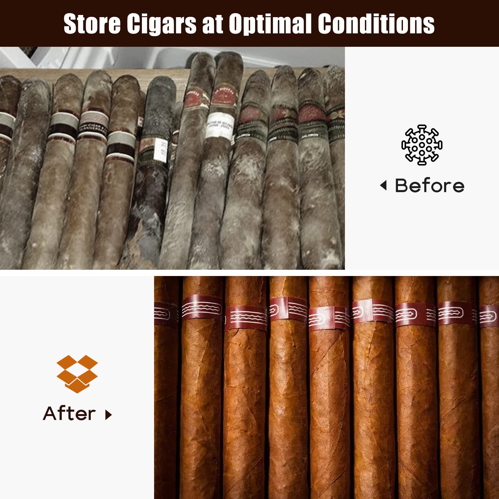 Glass Top Cedar Humidor with Front Hygrometer, Humidifier, Divider, and Accessory Drawer, Desktop Cedar Wood Cigar Box Holds 20-30 Cigars, Cigar Accessories for Men
