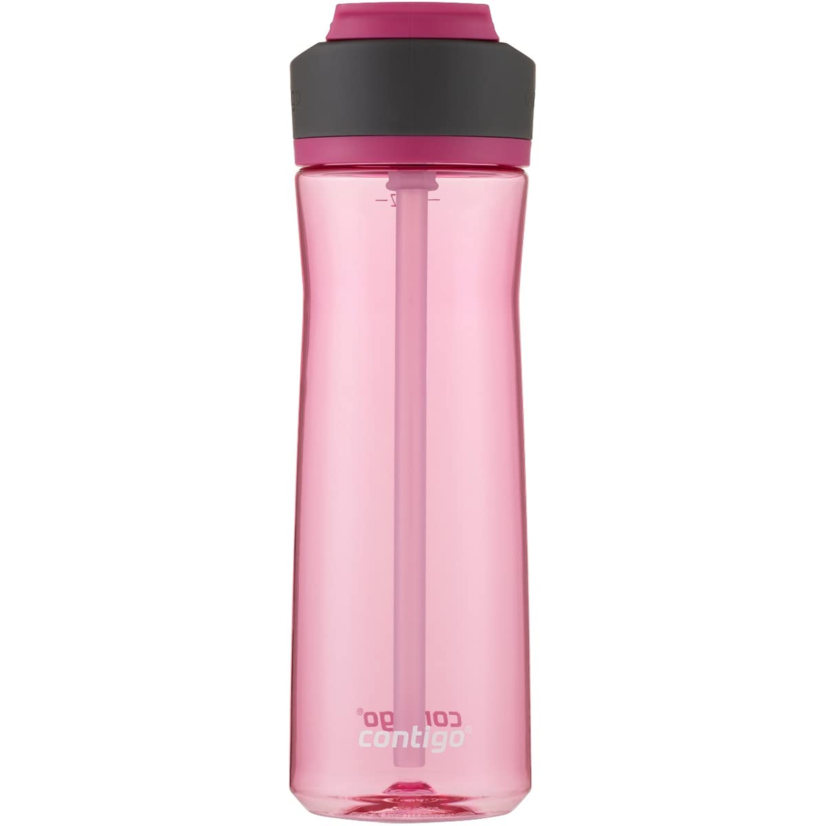 Contigo Ashland 2.0 24OZ Dragon Fruit