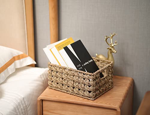 Ellinia Handmade Woven Seagrass Wicker 11.8 x 8.85 x 6.1 Inch Basket for Storage - Bar, Hotel, Pantry, Restaurant, Table Organizer, Bohemian Style, 3-Pack, Natural Seagrass Color