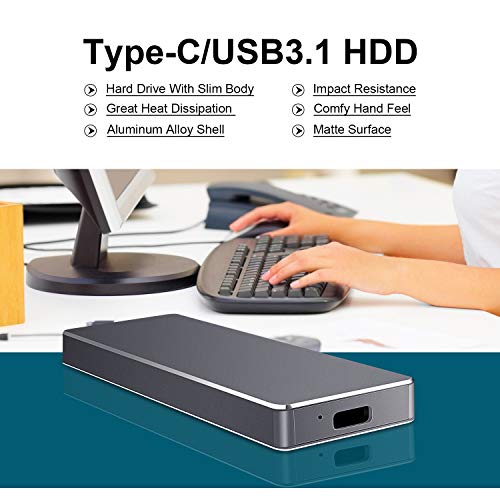 External Hard Drive 2TB Type C USB3.1 for PC, Mac, Desktop Computer Wii U, Xbox (2to, Silver)
