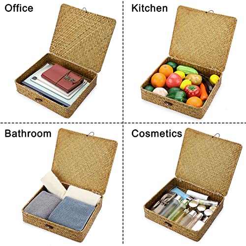 BTSKY 1 Pack Large Wicker Basket With Lid Flat Woven Storage Bins for Shelf Organizing Natural Seagrass Storage Baskets with Lids Home Utility Organizer Box for Home & Office Supplies, Caramel