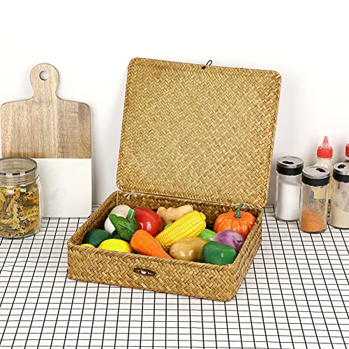 BTSKY 1 Pack Large Wicker Basket With Lid Flat Woven Storage Bins for Shelf Organizing Natural Seagrass Storage Baskets with Lids Home Utility Organizer Box for Home & Office Supplies, Caramel